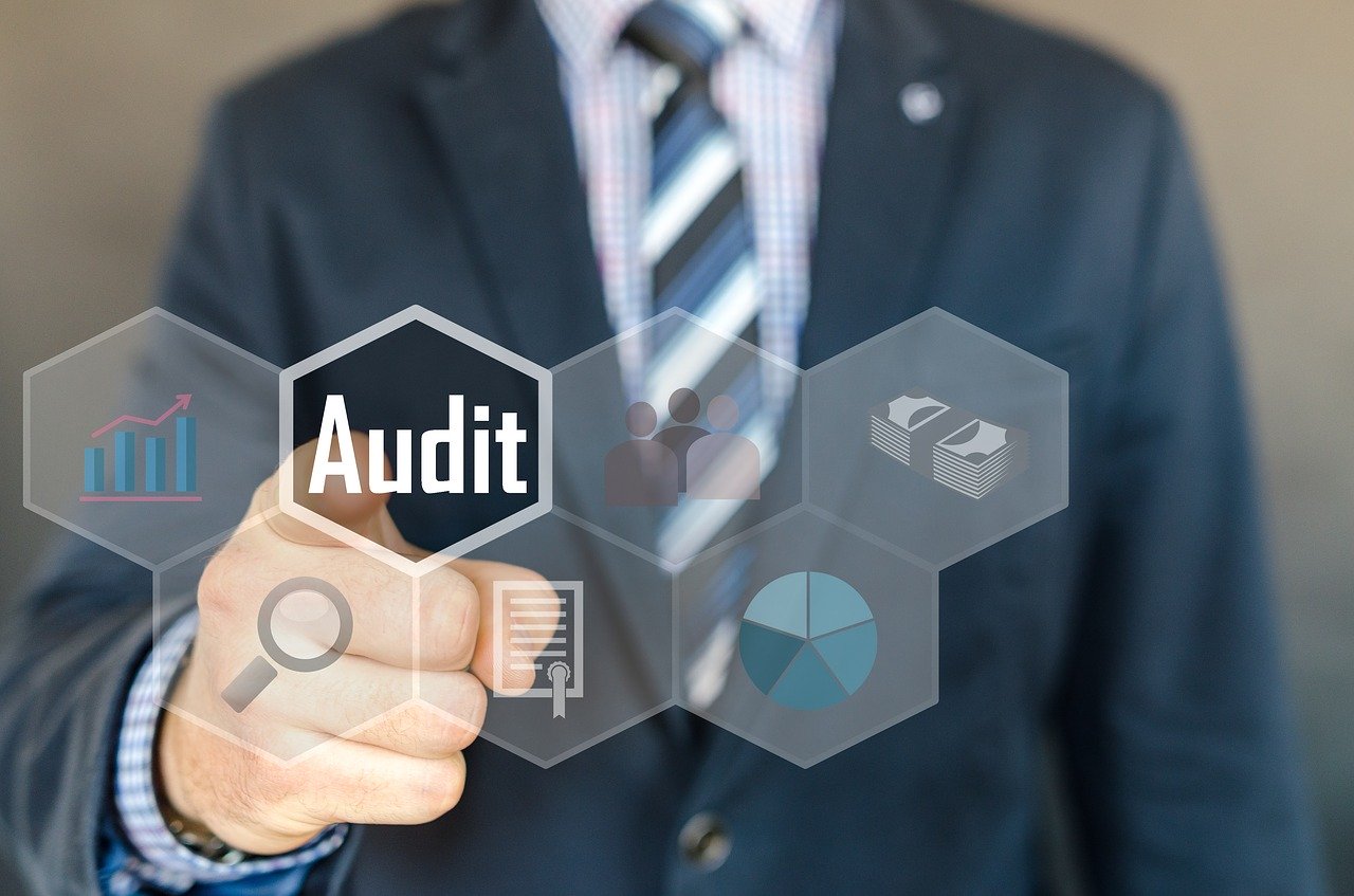 Tout savoir sur un auditeur financier - Vitae assurance credit